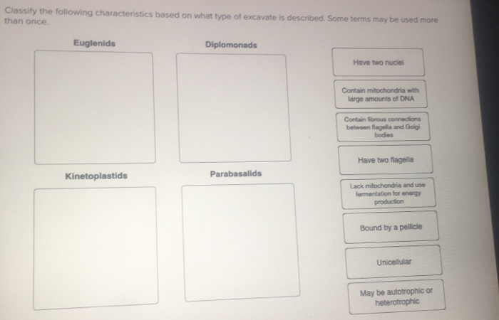 Solved Classify the following characteristics based on what | Chegg.com