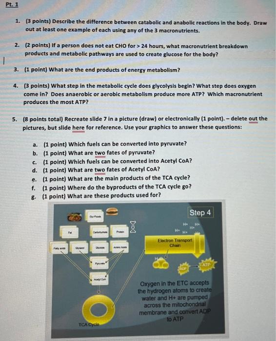 Solved 1. (3 points) Describe the difference between | Chegg.com