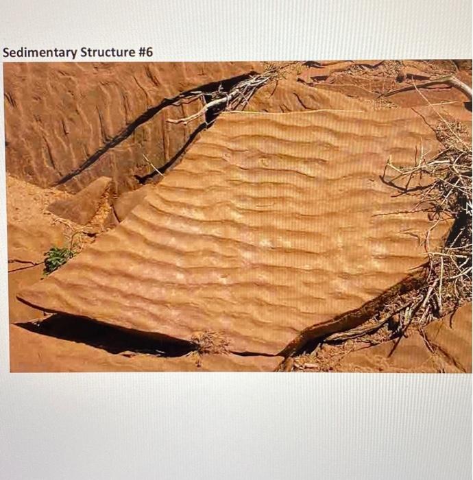 Solved Sedimentary Structure \#4 Sedimentary Structure | Chegg.com