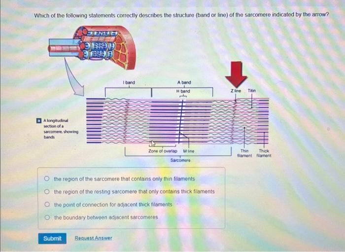 Solved Which of the following statements correctly describes | Chegg.com
