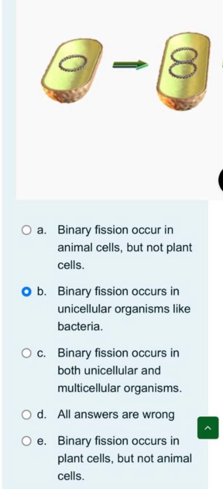Solved a. ﻿Binary fission occur in animal cells, but not | Chegg.com