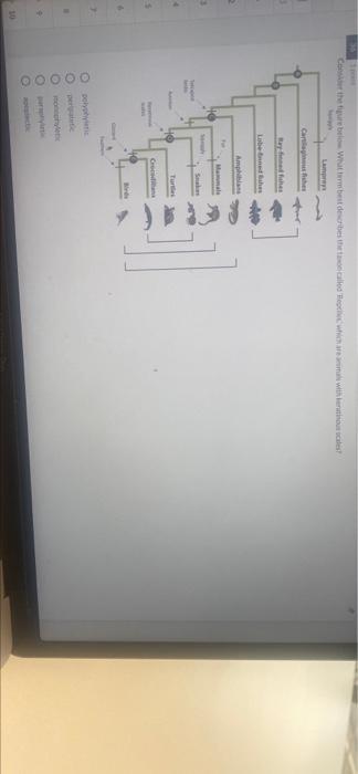 Co the Westdescribes the cold town with locales Lamp | Chegg.com