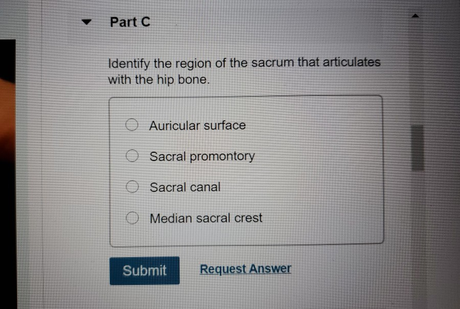 Solved Part C Identify the region of the sacrum that | Chegg.com