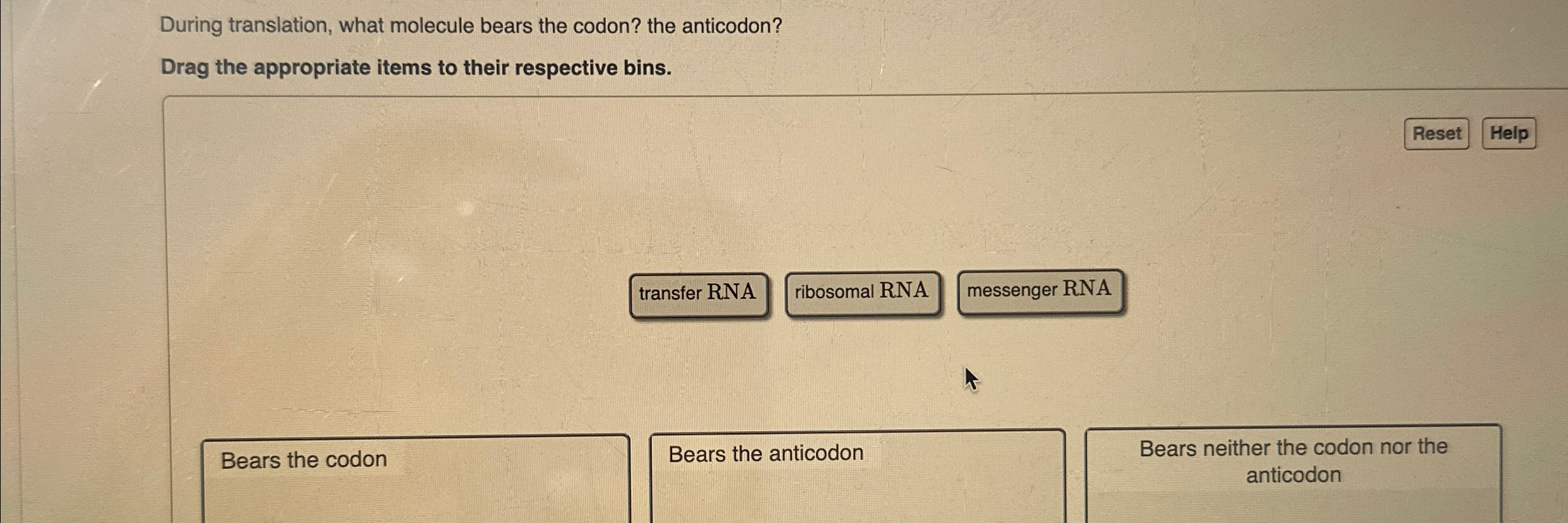 Solved During translation, what molecule bears the codon? | Chegg.com
