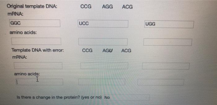Solved CCG AGG ACG Original template DNA: mRNA: GGC UCC UGG | Chegg.com