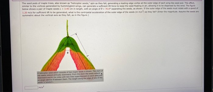 Solved The seed pods of maple trees, also known as | Chegg.com