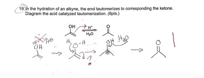 Solved 19. In the hydration of an alkyne, the enol | Chegg.com