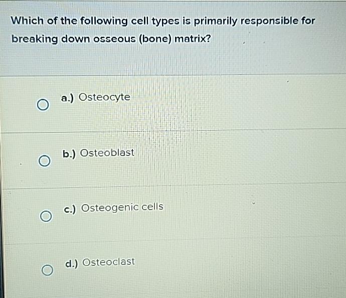Solved Which of the following cell types is primarily | Chegg.com