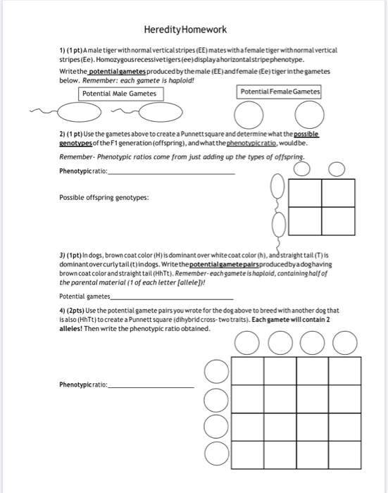 Solved Heredity Homework 1) (1 pt)A male tiger with normal | Chegg.com