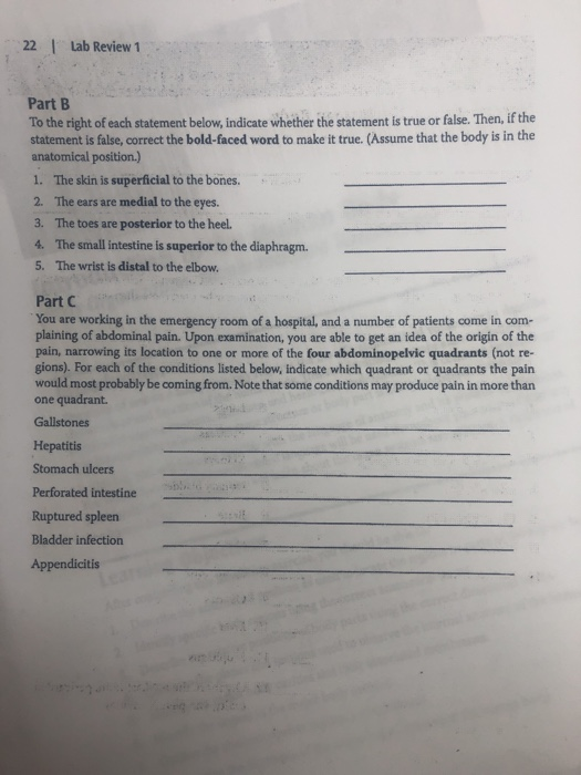 Solved 22 | Lab Review 1 Part B To the right of each | Chegg.com