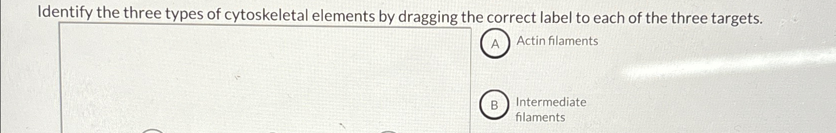 Solved Identify The Three Types Of Cytoskeletal Elements By