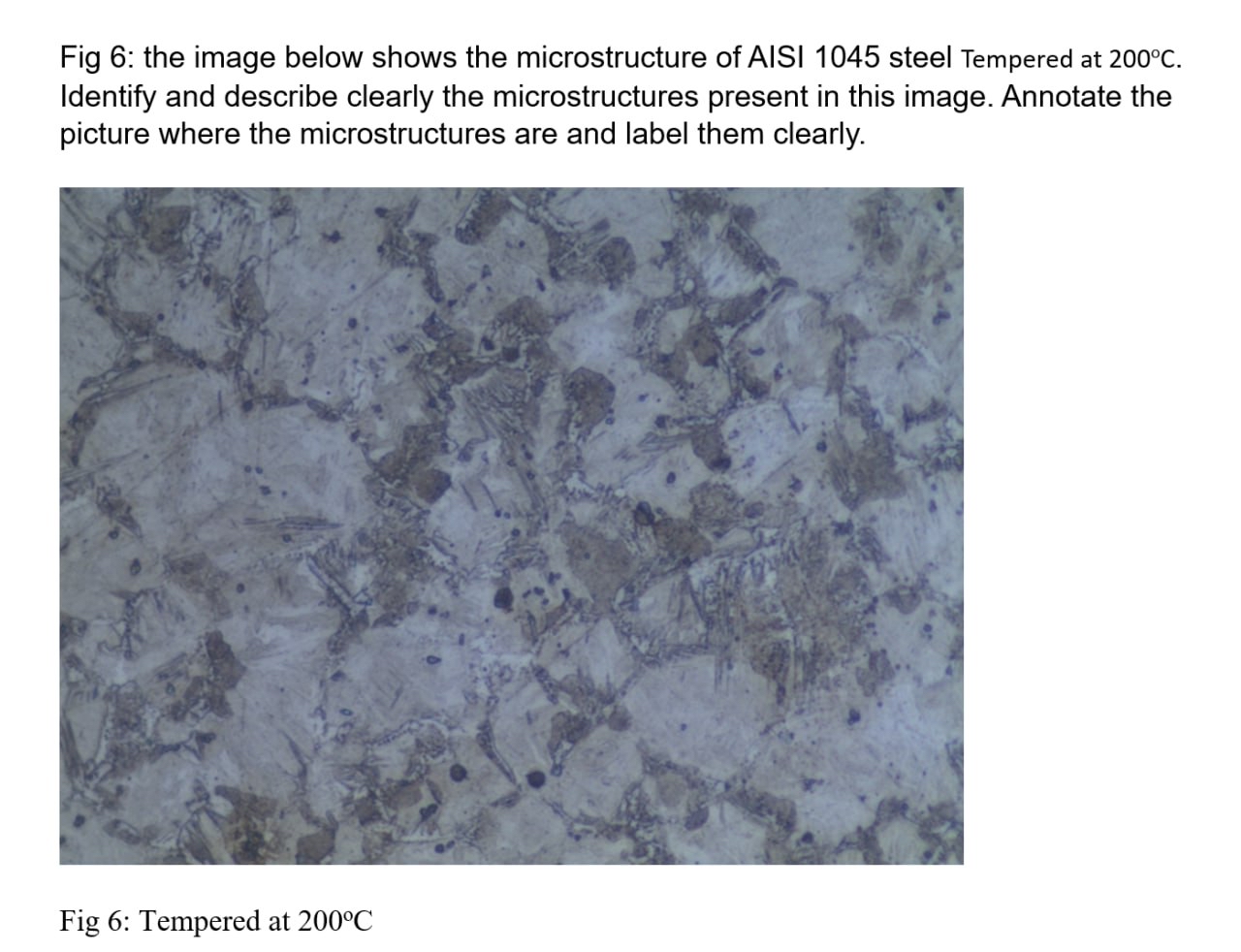 Solved Fig 6: the image below shows the microstructure of | Chegg.com