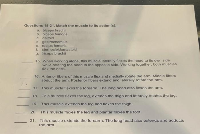 Solved Questions 15-21. Match the muscle to its action(s). | Chegg.com
