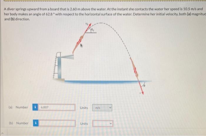 Solved A diver springs upward from a board that is 2.60 m | Chegg.com