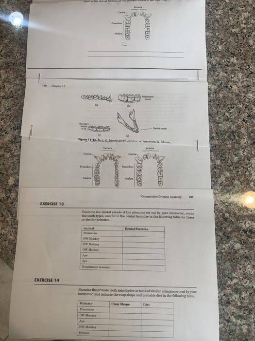 Dhe sed, Figure 1A... con Molon Compatriate hainy | Chegg.com