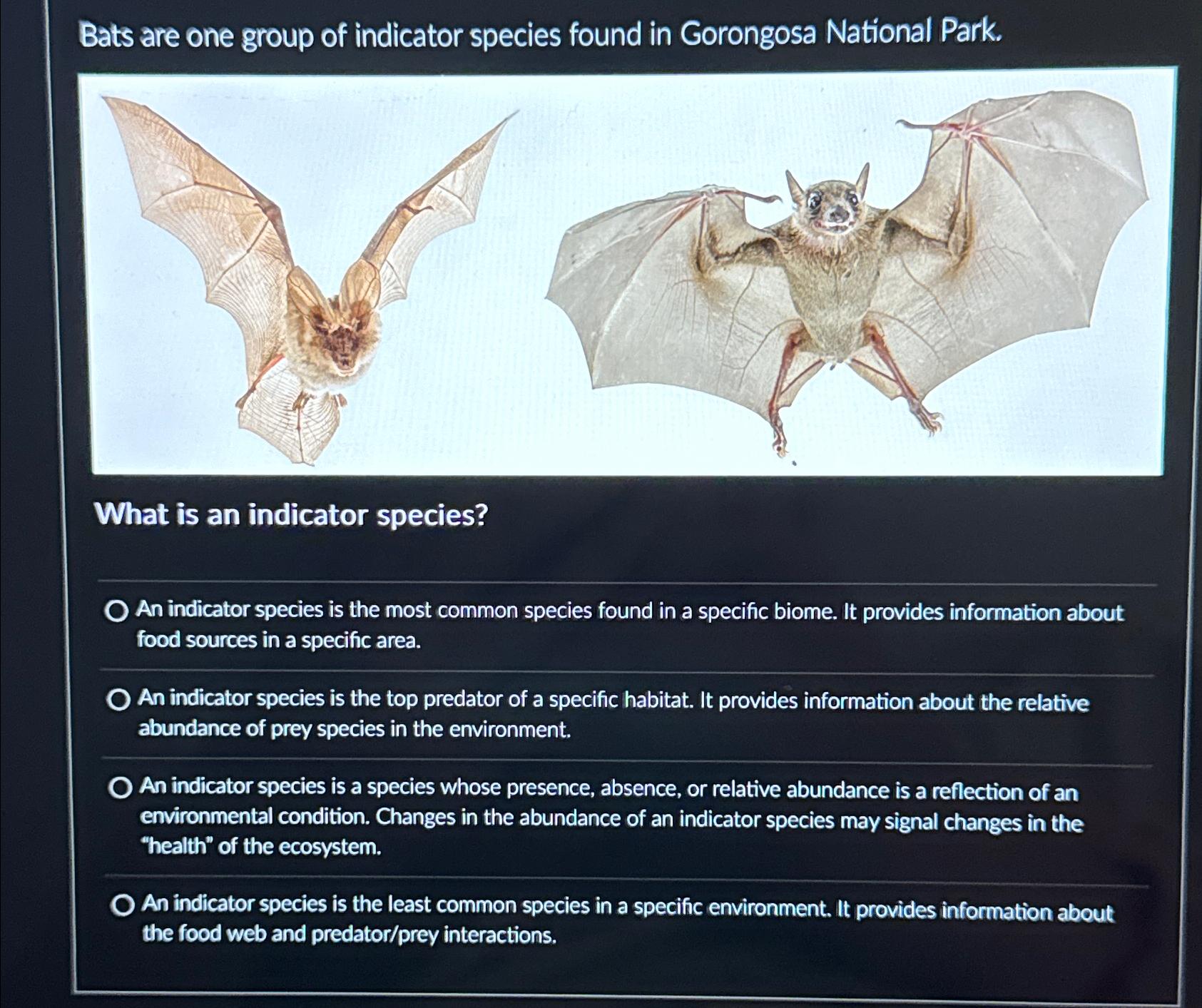 Solved Bats are one group of indicator species found in | Chegg.com