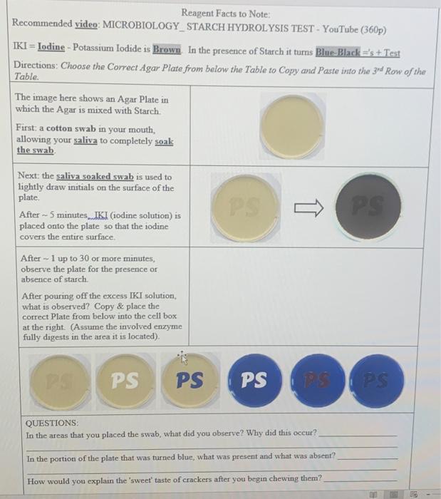 Solved DIGESTION PHYSIOLOGY LAB The following activities | Chegg.com