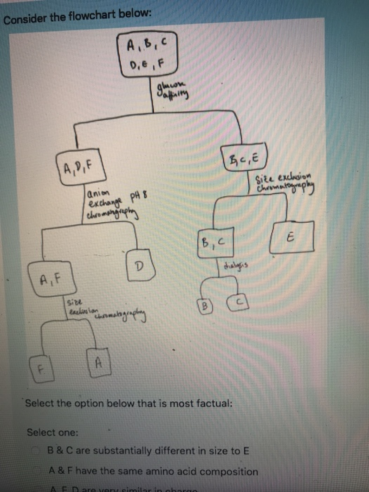 Solved Consider the flowchart below: A,B,C 0,, F q B, C, E | Chegg.com