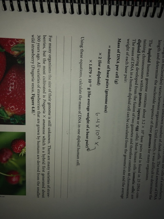 Solved in the cells of a strawberry, all unknown number of | Chegg.com