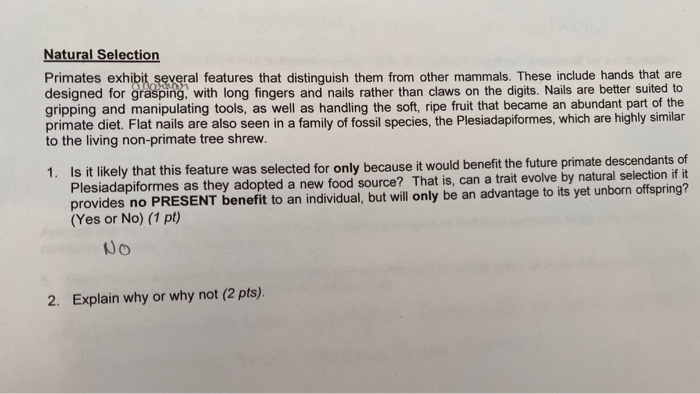 Solved Natural Selection Primates exhibit several features | Chegg.com
