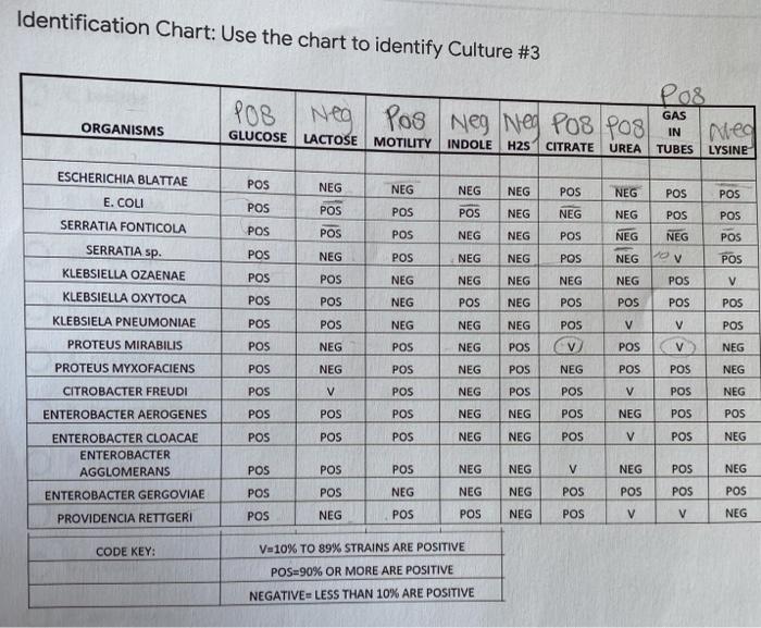 Identification Chart: Use the chart to identify | Chegg.com
