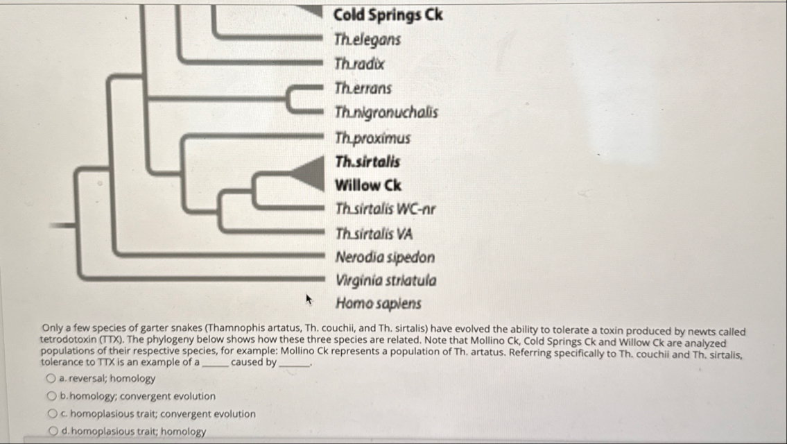 Solved Cold Springs | Chegg.com