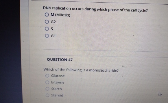 Solved DNA replication occurs during which phase of the cell | Chegg.com
