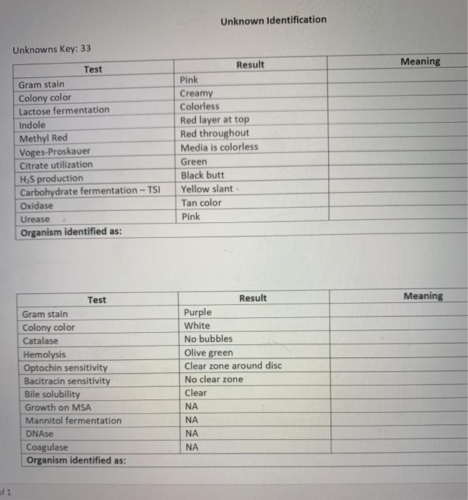 Solved Unknown Identification Unknowns Key: 33 Meaning Test | Chegg.com
