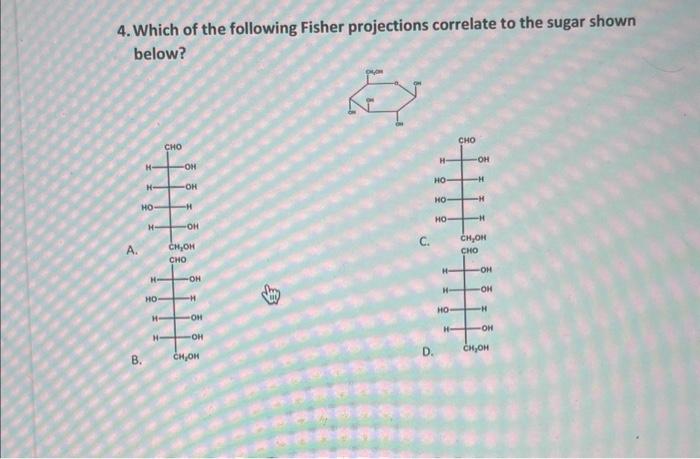 Solved 4. Which of the following Fisher projections | Chegg.com
