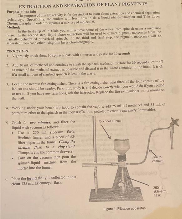Solved EXTRACTION AND SEPARATION OF PLANT PIGMENTS Purpose | Chegg.com