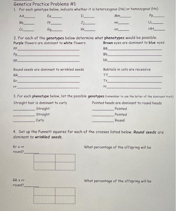 Solved Genetics Practice Problems \#1 1. For each genotype | Chegg.com