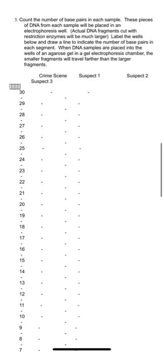 3. Count the number of base pairs in each sample. | Chegg.com