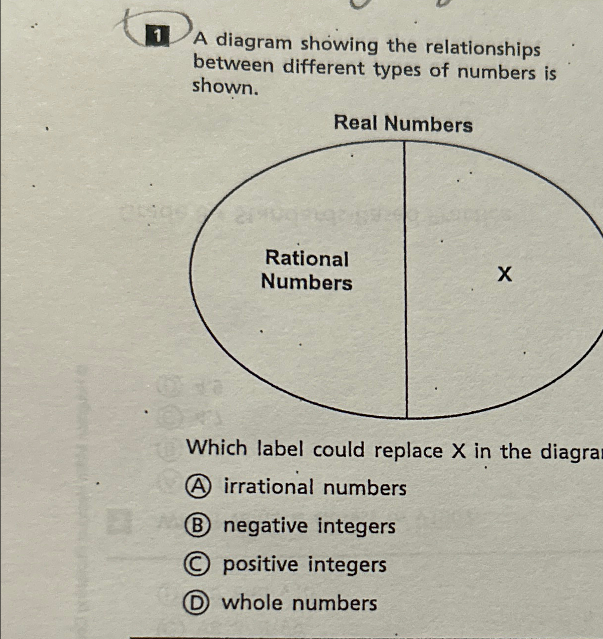 Solved A diagram showing the relationships between different | Chegg.com