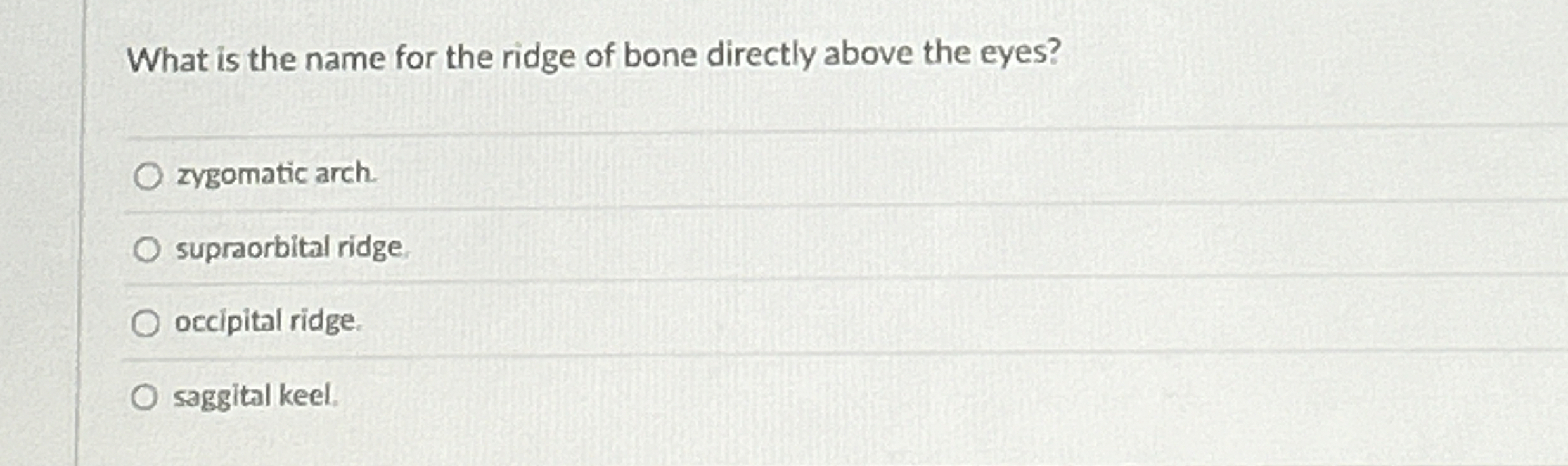 Solved What is the name for the ridge of bone directly above | Chegg.com