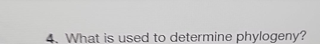 Solved What is used to determine phylogeny? | Chegg.com