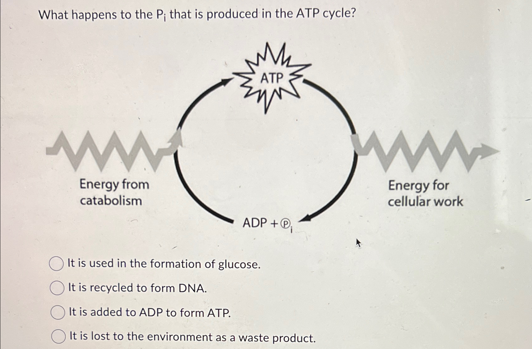 What happens to the Pi ﻿that is produced in the ATP | Chegg.com