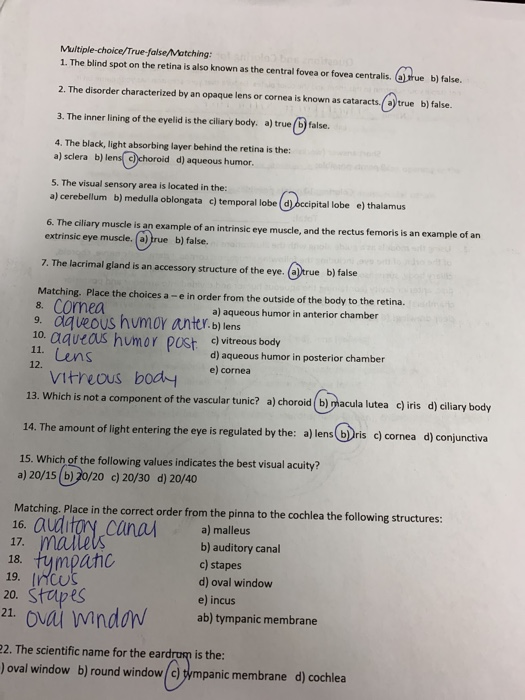 Solved Multiple-choice/True-false/Matching: 1. The blind | Chegg.com