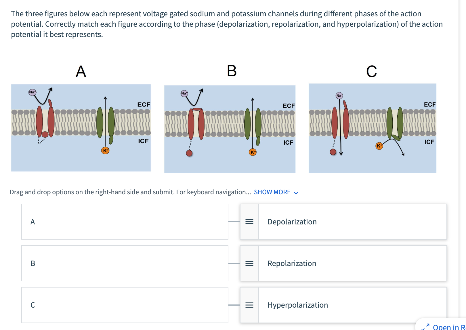 Solved The three figures below each represent voltage gated | Chegg.com