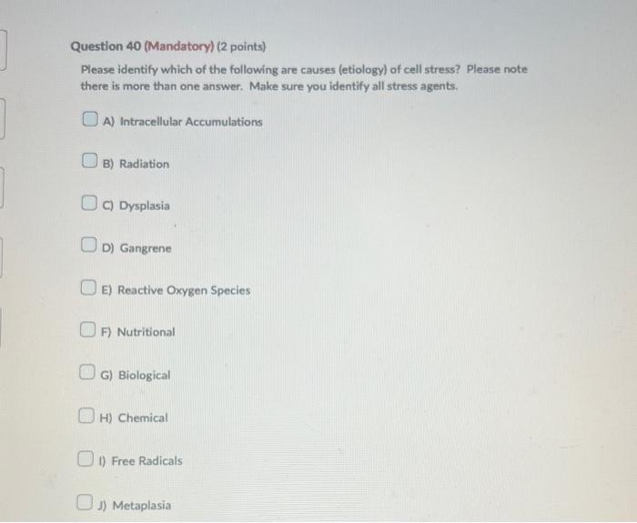 Question 38 (Mandatory) (1 point) Finish this | Chegg.com Question 38 (Mandatory) (1 point) Finish this | Chegg.com