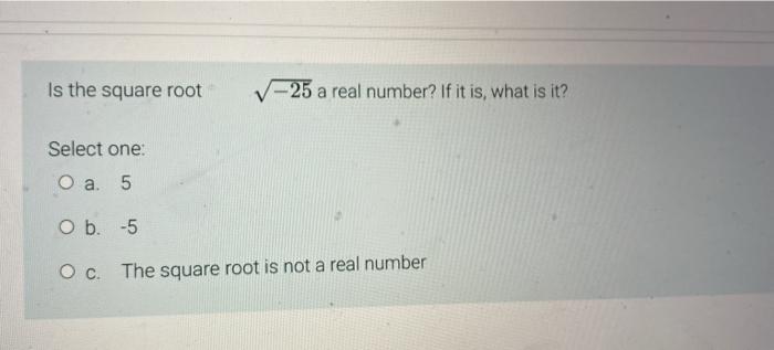 Solved What is V 25? Answer Is the square root -25 a real | Chegg.com