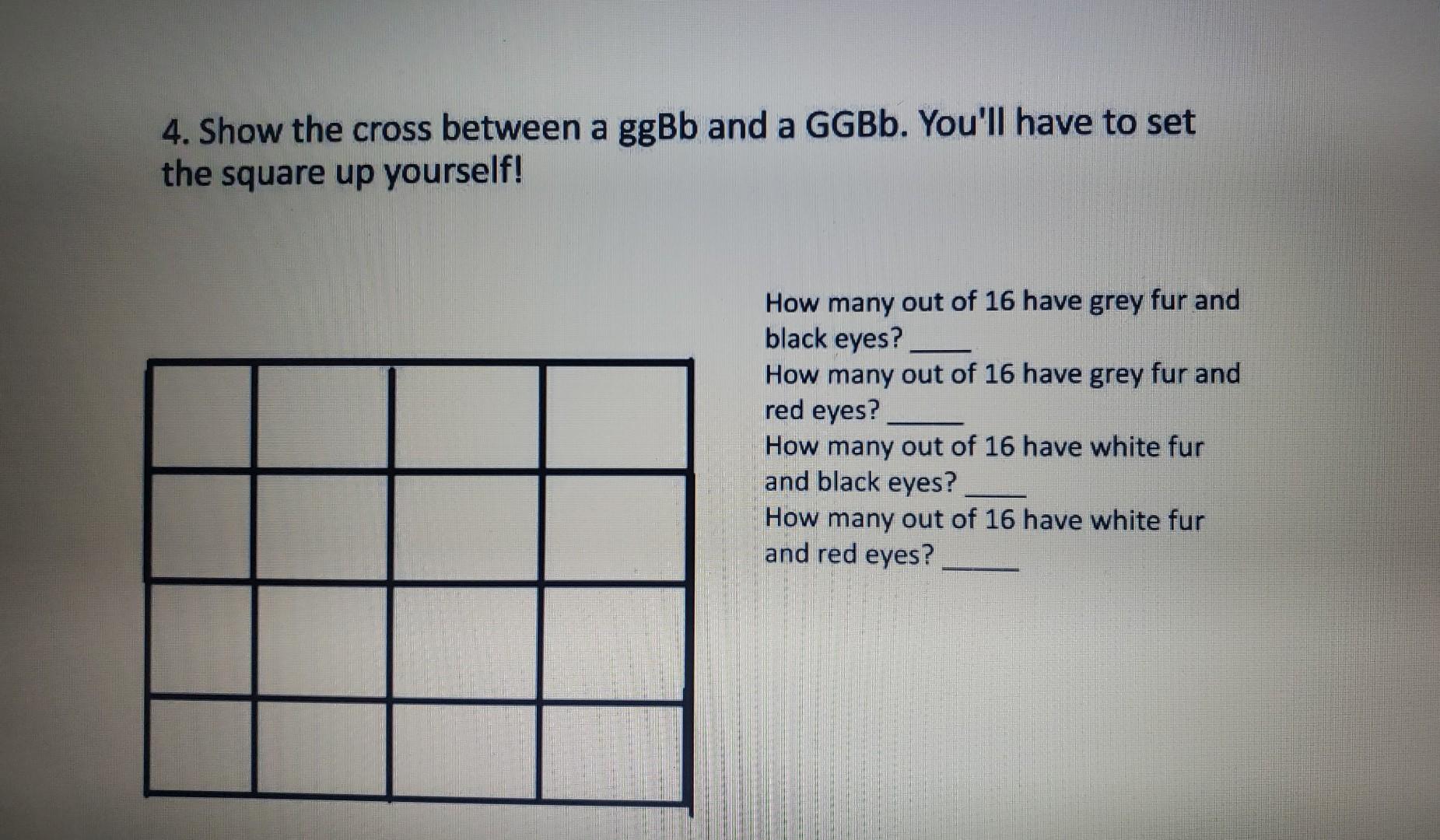 Solved 4. Show the cross between a ggBb and a GGBb. You'll | Chegg.com