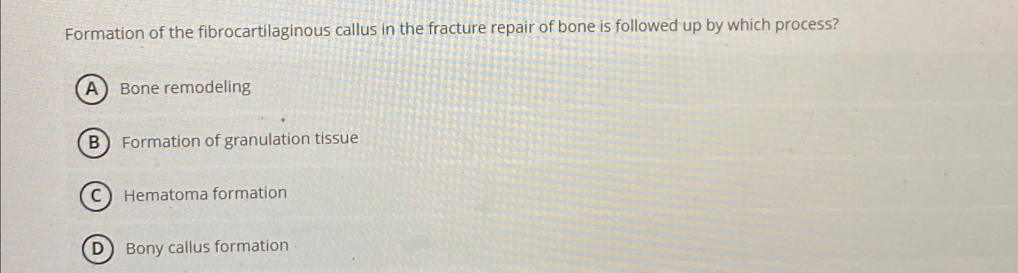Solved Formation of the fibrocartilaginous callus in the | Chegg.com
