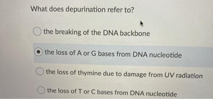 Solved What does depurination refer to? the breaking of the | Chegg.com
