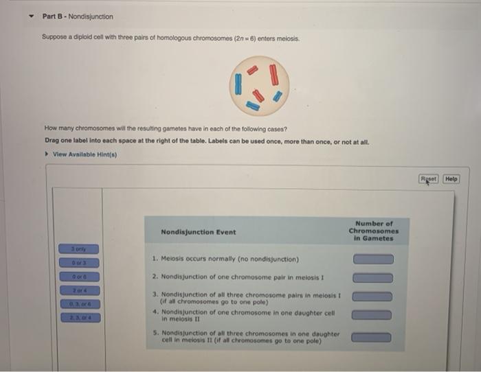 Solved Chromosomal mutations are changes in the normal | Chegg.com