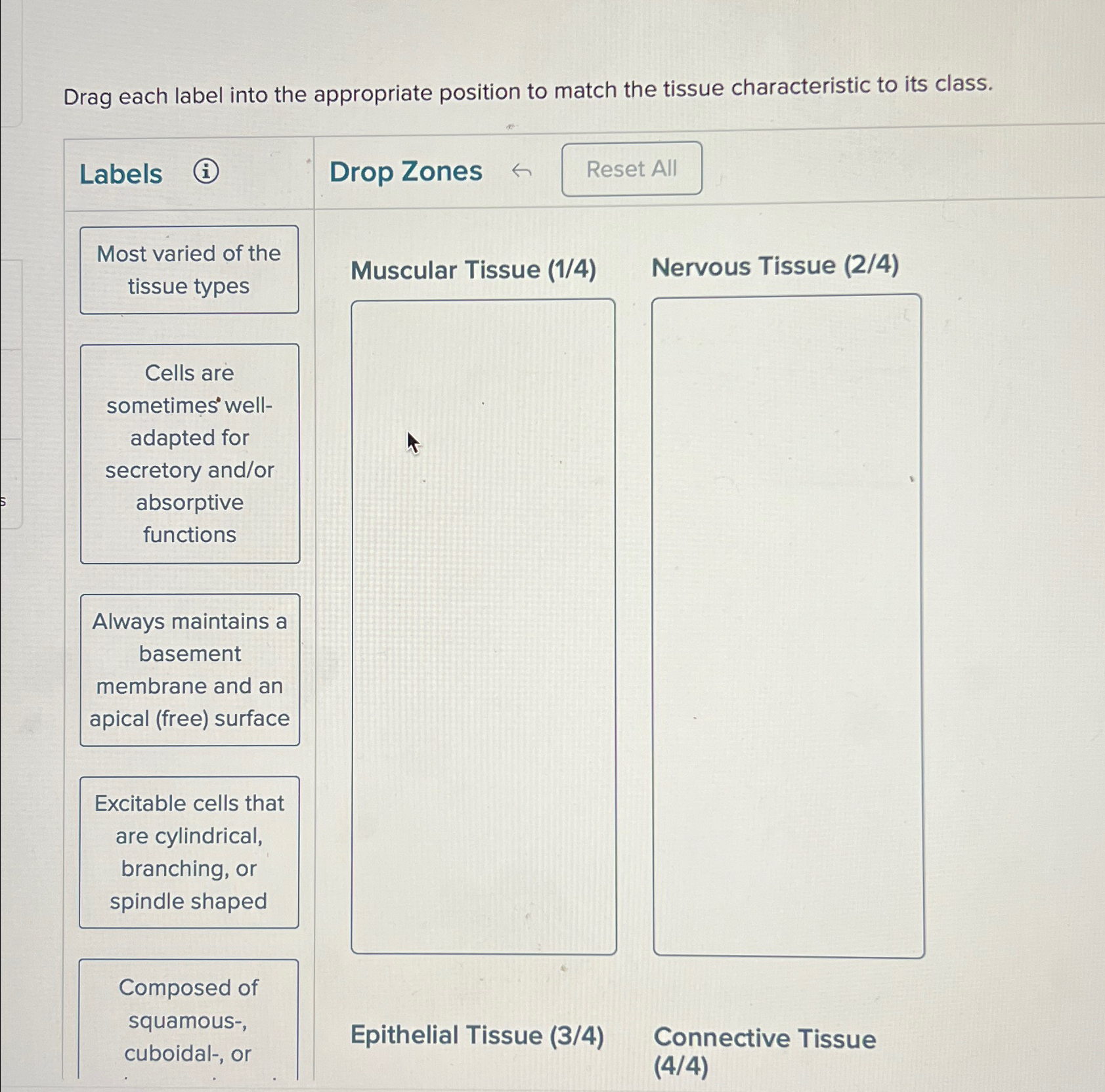 Solved Drag each label into the appropriate position to | Chegg.com
