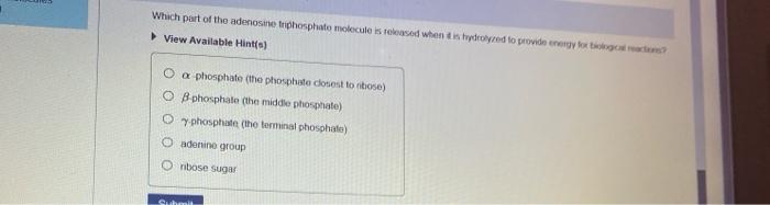 Solved Which part of the adenosine triphosphate molecule is | Chegg.com