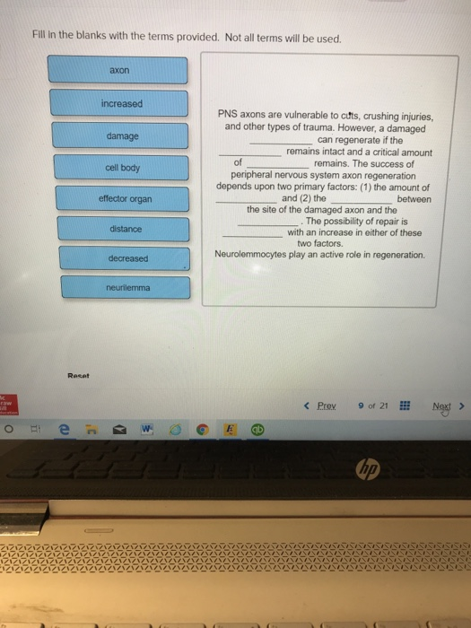 Solved Fill in the blanks with the terms provided. Not all | Chegg.com