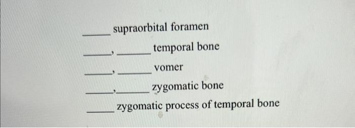 Solved Using choices from the key on the next page, identify | Chegg.com