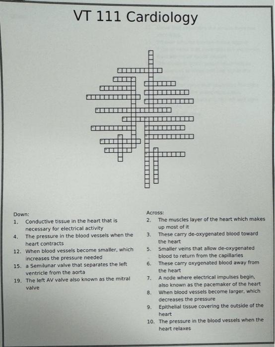 Solved VT 111 Cardiology Down: 1. Conductive tissue in the | Chegg.com