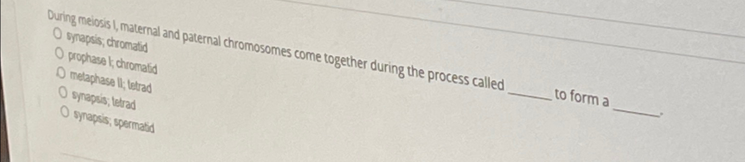 Solved During meiosis I, maternal and paternal chromosomes | Chegg.com
